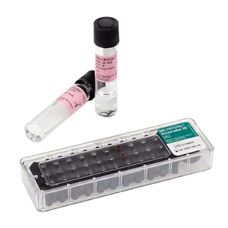 Milsa Instrulab-245029 BBL TUBOS DE CALDO PARA INOCULO DE ...