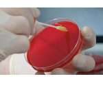 Productos - Milsa Instrulab